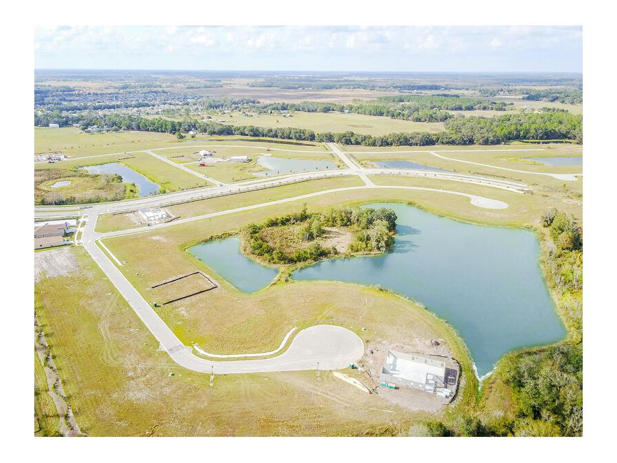 Our 5 Favorite Things to Do in Zephyrhills, Florida