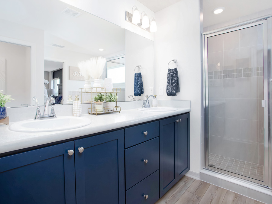 Inspiration Gallery | Parker - Owner's Bath | Highland Homes
