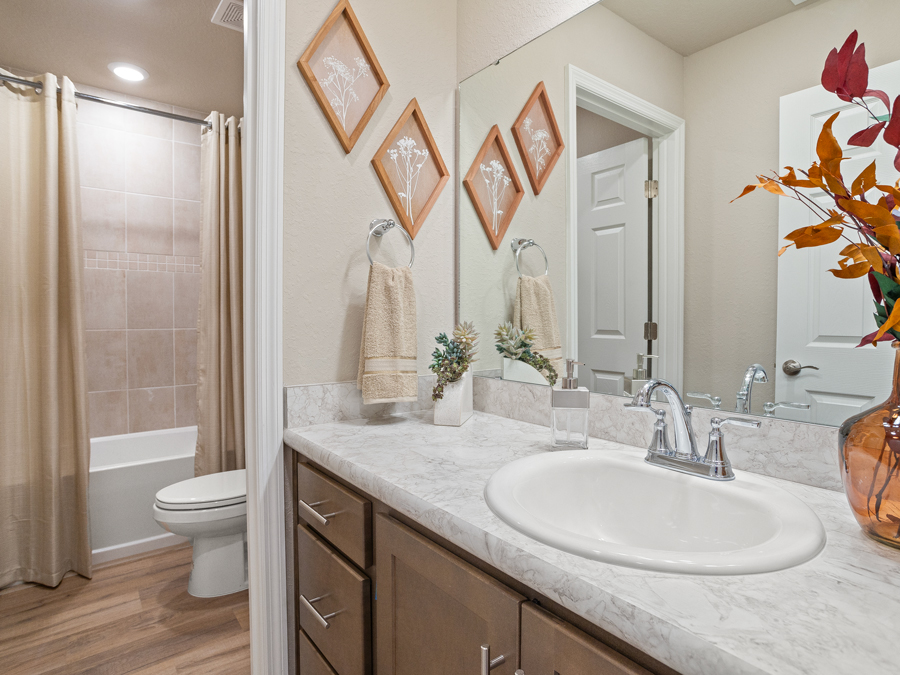 Inspiration Gallery | Mariposa - Hall Bath | Highland Homes